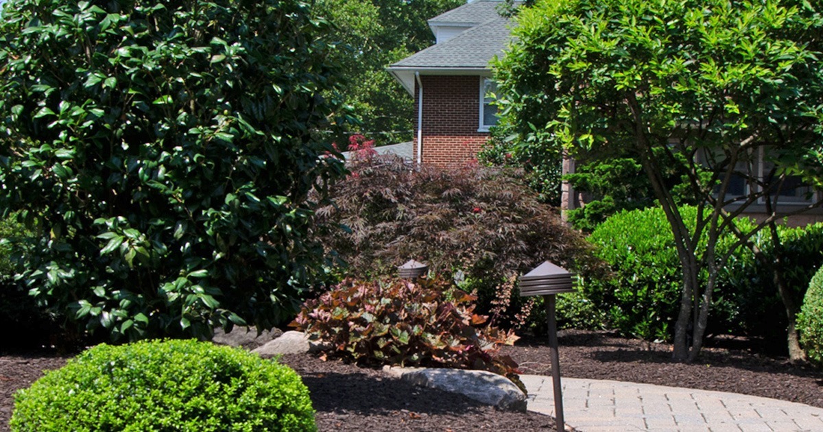 Moyer Tree & Shrub Care | Fertilization
