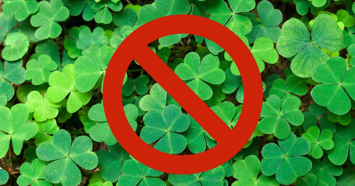 How to Kill Clover in Lawn — Proven Methods for a Clover‑Free Yard | Moyer